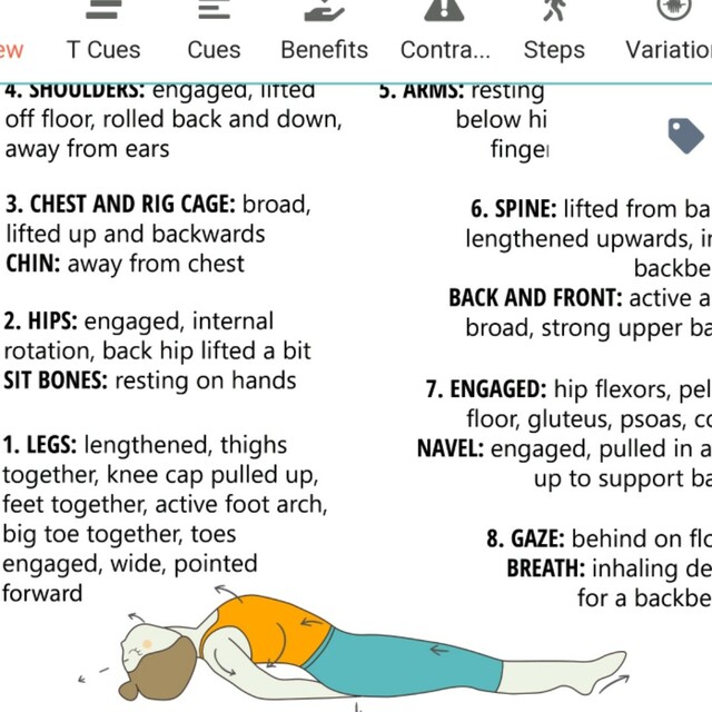 Matsyasana Bolster Optional by 𝔻𝕖𝕤𝕖𝕣𝕥 𝔽𝕠𝕩🦊 🌟 - Exercise How-to - Skimble