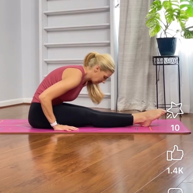 Alternating Leg L Sit Push Ups by Jataesha C. - Exercise How-to - Skimble