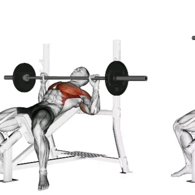 Barbell Incline Press by Richard Terry Jr - Exercise How-to - Skimble