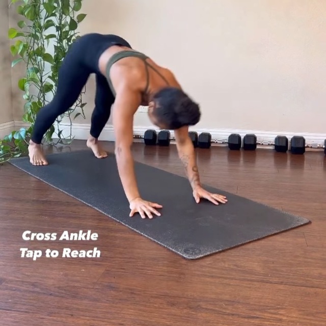 Cross Ankle Touch To Reach by Deanna B. - Exercise How-to - Skimble