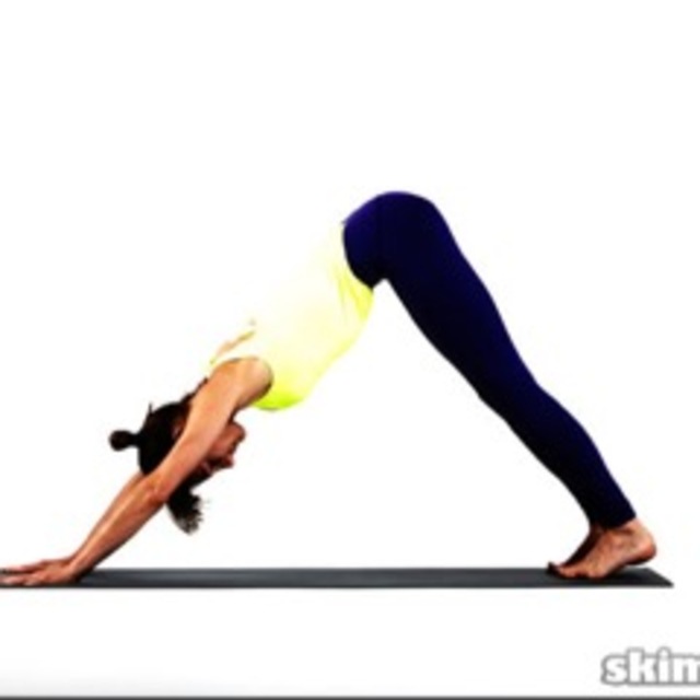 Planking Dog with Alternating Leg Lifts by Jataesha C. - Exercise How ...