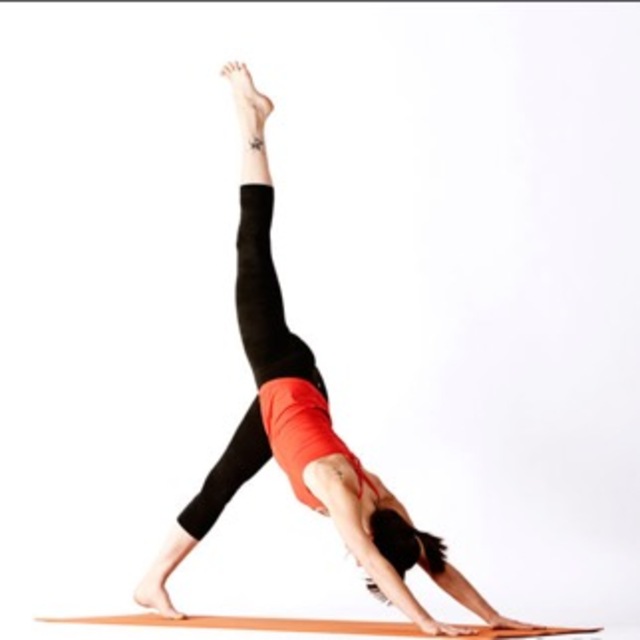 Planking Dog with Alternating Leg Lifts by Jataesha C. - Exercise How ...