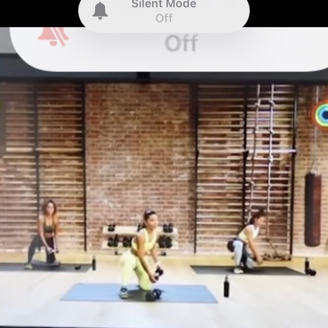 Lunge Forward Knee Medicine Ball Up And Over Knees by Melissa L ...