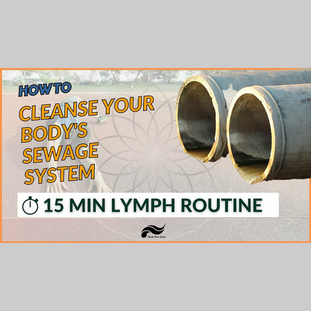 Lymphatic Flow Movement Routine | Un(c)lock Your Body [15 min Mobility ...