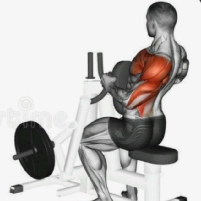 Leverage Row by David Morgan - Exercise How-to - Skimble