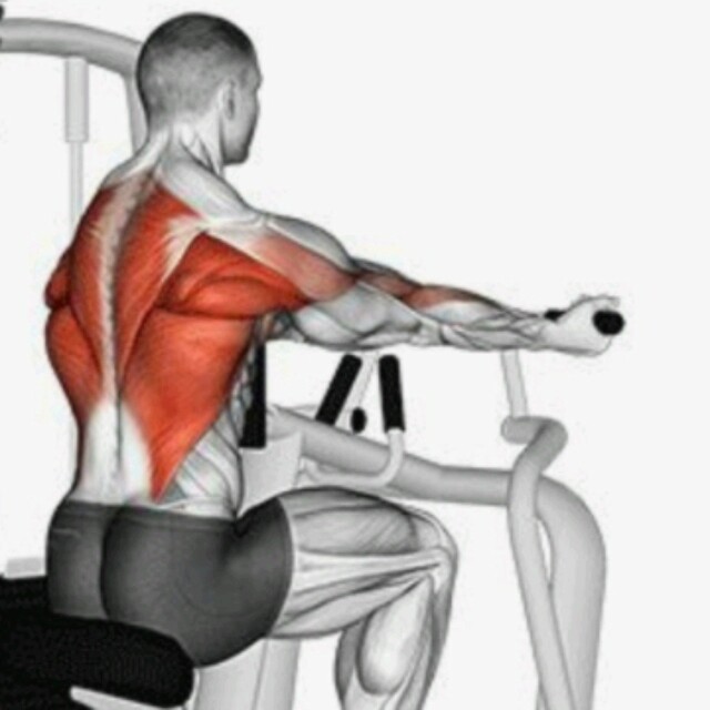 Machine Row by David Morgan - Exercise How-to - Skimble