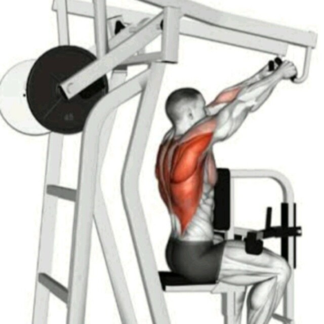 Leverage High Row by David Morgan - Exercise How-to - Skimble