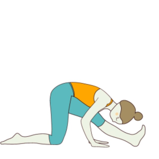 Half Monkey Split Hanumanasana by 𝔻𝕖𝕤𝕖𝕣𝕥 𝔽𝕠𝕩🦊 🌟 - Exercise How-to - Skimble