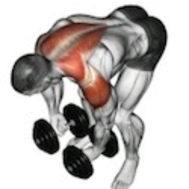 Bent Lat Raise by David H. - Exercise How-to - Skimble