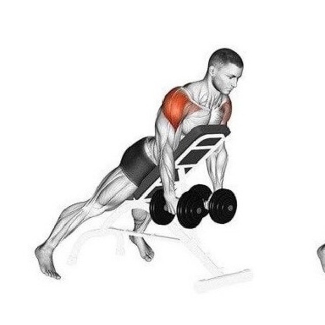 Incline Lat Raises By With Love Foxy Exercise How To Skimble