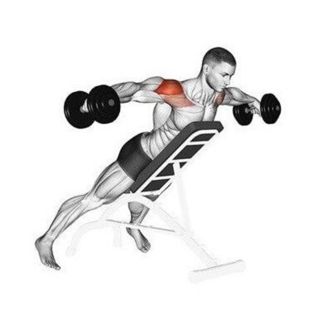 Incline Lat Raises by With Love, Foxy - Exercise How-to - Skimble