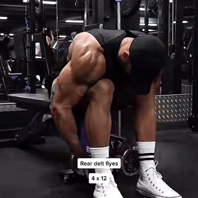 Rear Delt Flyes by With Love, Foxy - Exercise How-to - Skimble