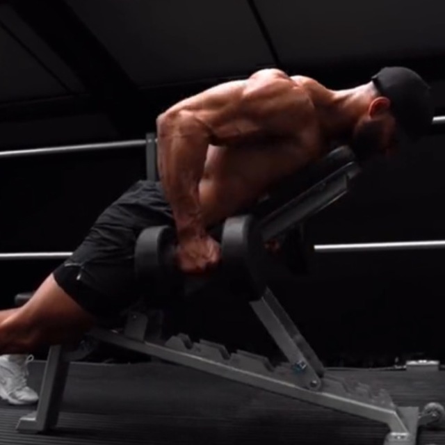 Incline DB Row by With Love, Foxy - Exercise How-to - Skimble