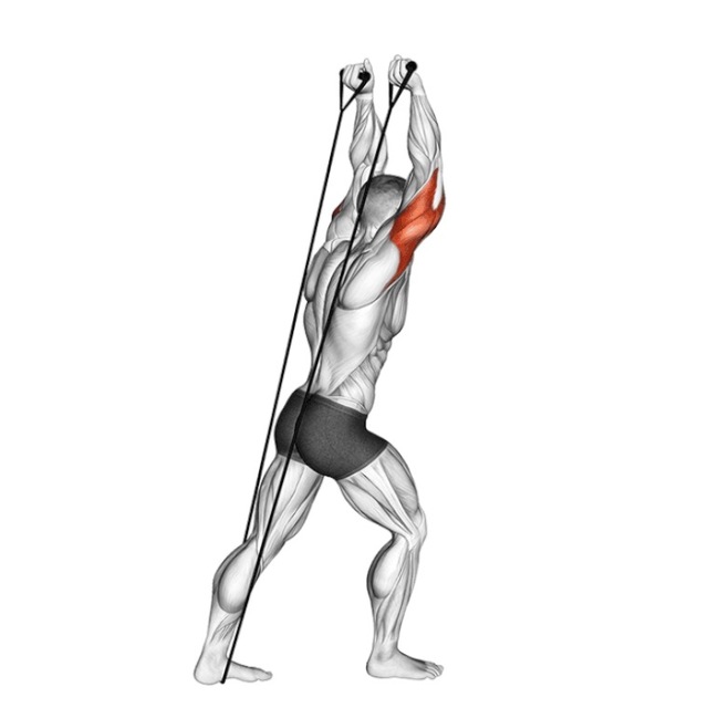 Extension des triceps au-dessus de la tête avec élastique by Matéo P ...