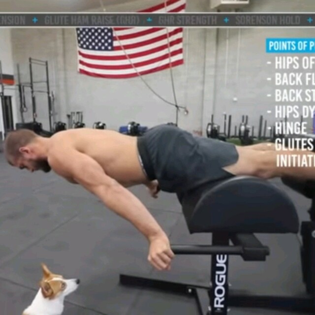 GHD Hip Extensions by Abigail Harris - Exercise How-to - Skimble