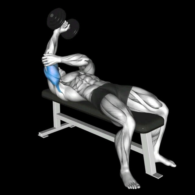 lying down crossbody tricep extension by Bubba C. - Exercise How-to ...