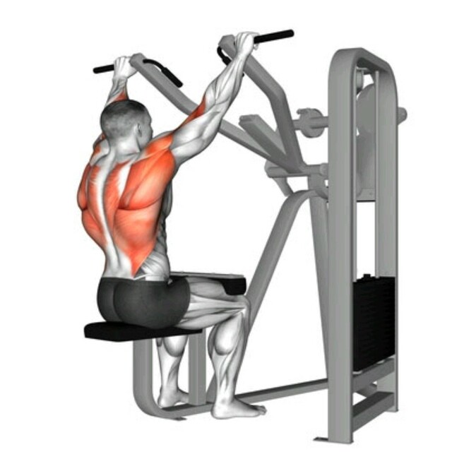 Lat Pull Down Machine by Bubba C. - Exercise How-to - Skimble