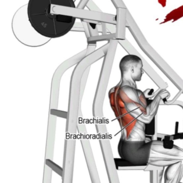 Lat Machine by Tony Riccardo - Exercise How-to - Skimble