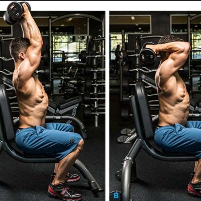 Reverse Grip Overhead Tricep Extensions by Kc H. - Exercise How-to ...