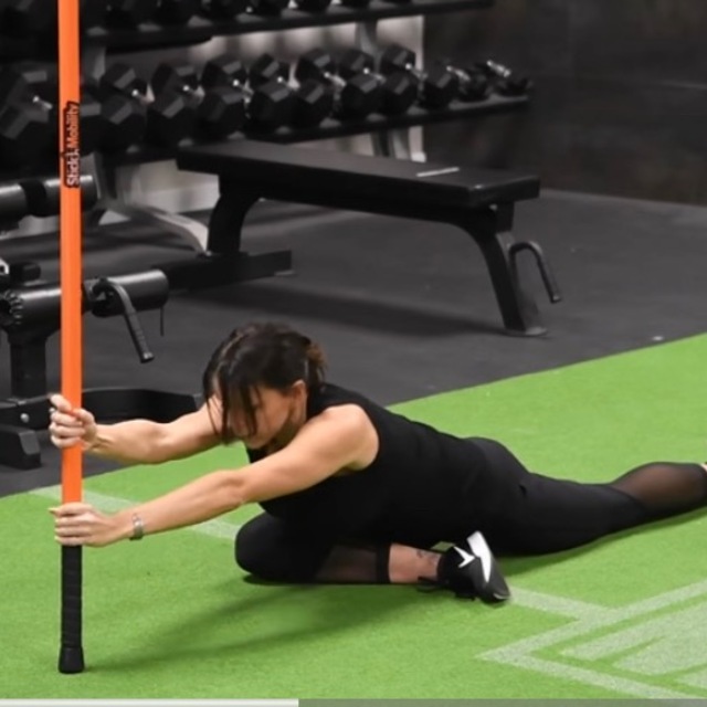 Stick Pigeon by Krisonthis . - Exercise How-to - Skimble