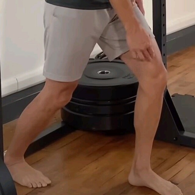 VMO Lunge by Allan B. - Exercise How-to - Skimble Workout Trainer