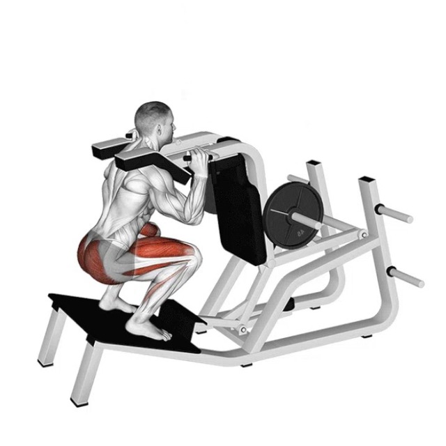 Hack squat Machine by Matéo Panda Gang - Comment faire de l'exercice ...