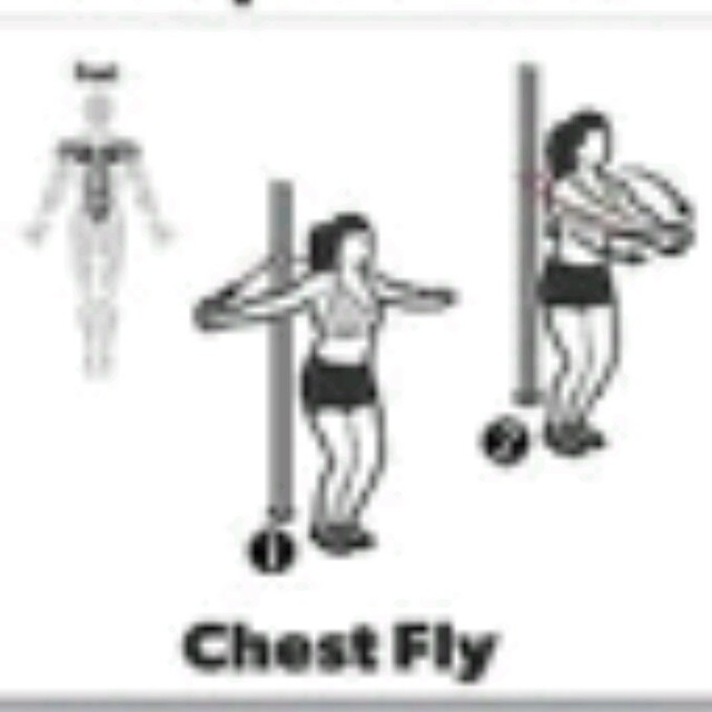 Banded Chest Fly by Angel Ehrlich - Exercise How-to - Skimble