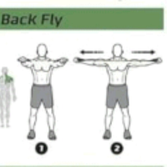 Banded Back Fly by Angel Ehrlich - Exercise How-to - Skimble