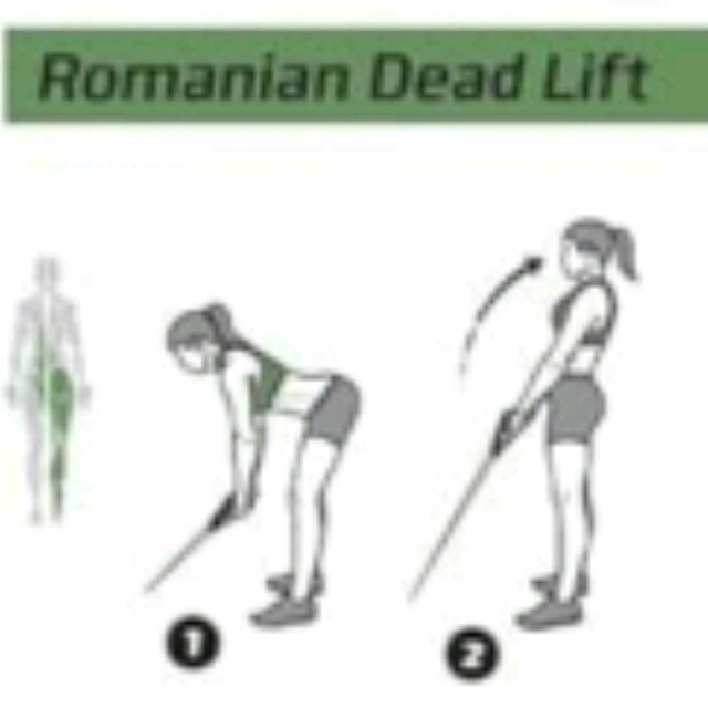 Banded Romanian Dead Lifts by Angel Ehrlich - Exercise How-to - Skimble