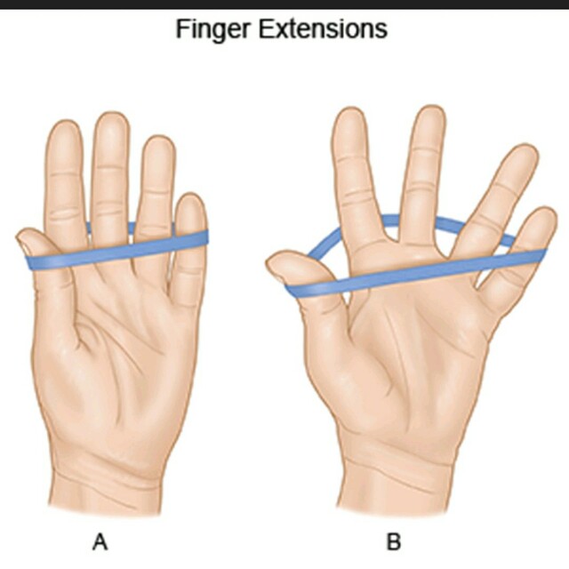 FINGER EXTENTIONS WITH BAND by Kimberly C - Exercise How-to - Skimble