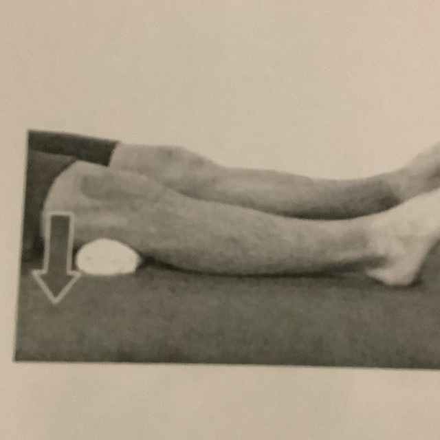 Left Quad Set - Towel Under Knee by Julie S. - Exercise How-to - Skimble