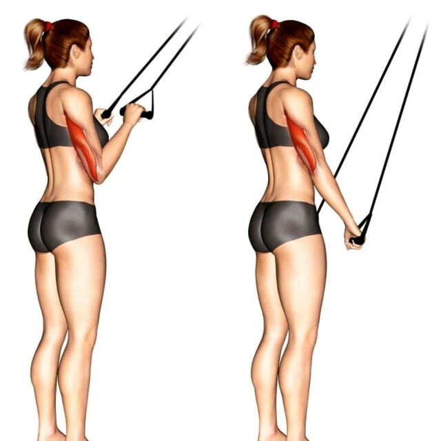 Triceps With Resistance Bands 11 Resistance Band Exercises On The