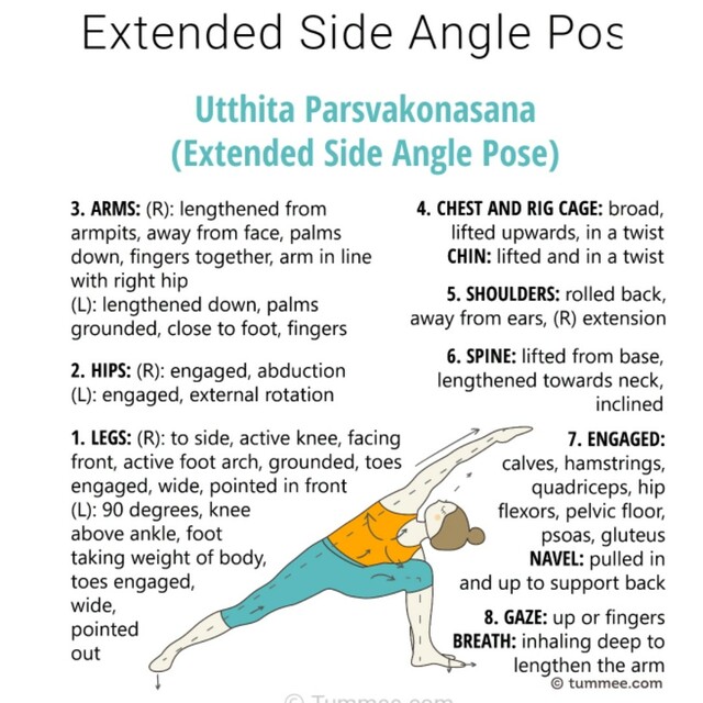 Extended Side Angle Pose Both Sides by 𝔻𝕖𝕤𝕖𝕣𝕥 𝔽𝕠𝕩🦊 🌟 - Exercise How-to ...