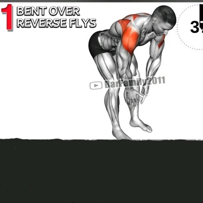 Bench Pull Ups by Isreal E. - Exercise How-to - Skimble