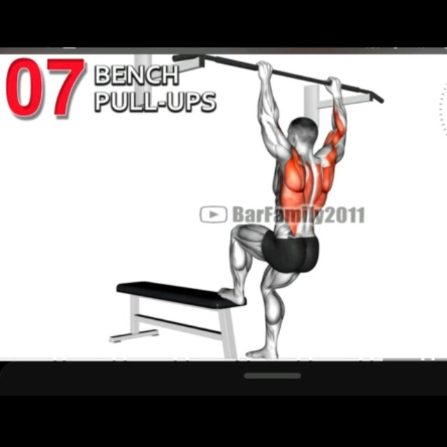 Bench Pull Ups by Isreal E. - Exercise How-to - Skimble