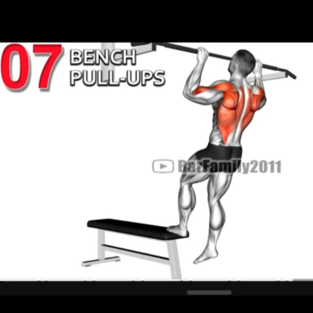 Bench Pull Ups by Isreal E. - Exercise How-to - Skimble