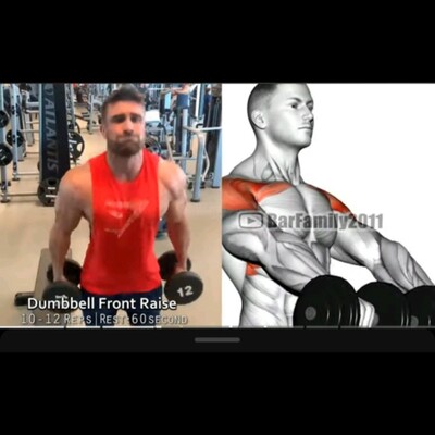 Seated Front Raises by Isreal E. - Exercise How-to - Skimble