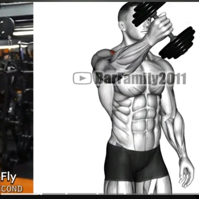 One Arm Low Flys by Isreal E. - Exercise How-to - Skimble