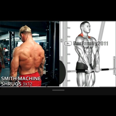 Bench Pull Ups by Isreal E. - Exercise How-to - Skimble