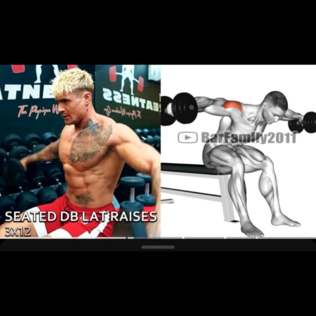 Seated Lat Raises por Isreal E. - Ejercicio Cómo hacerlo - Skimble