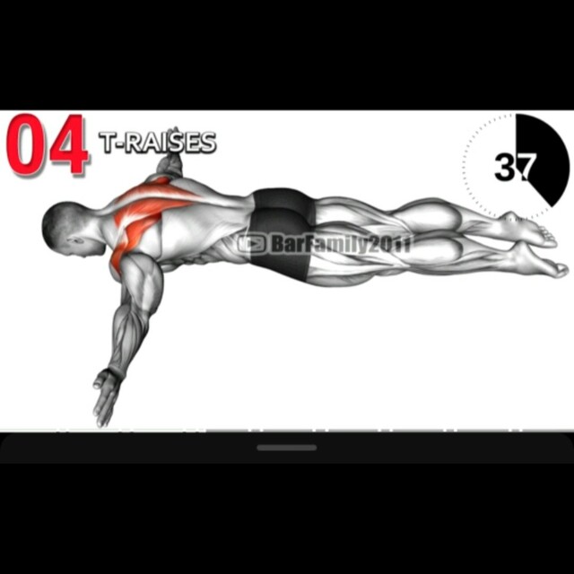 T Raises by Isreal E. - Exercise How-to - Skimble Workout Trainer