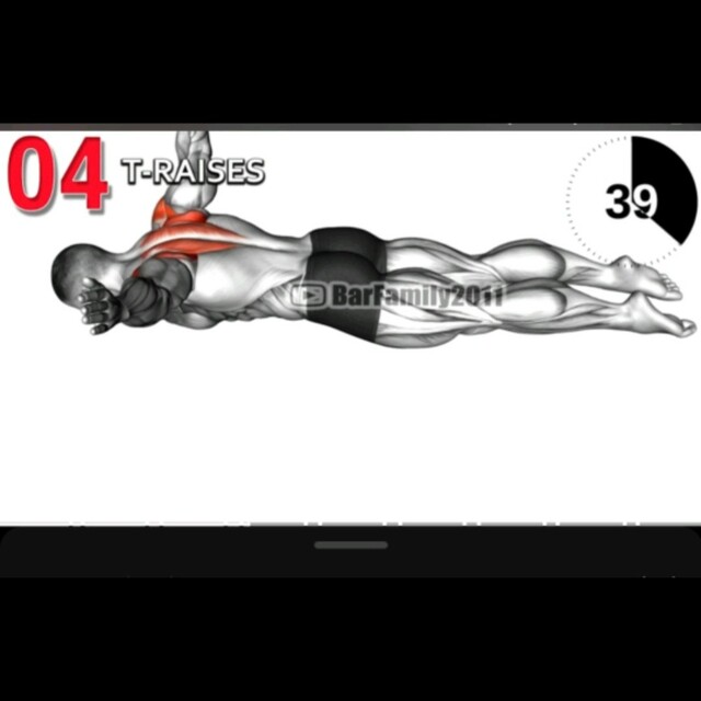 T Raises by Isreal E. - Exercise How-to - Skimble Workout Trainer