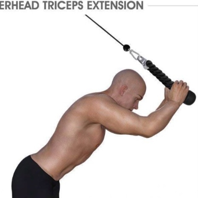 Cable Overhead Triceps Extensions by Neale Davis - Exercise How-to ...