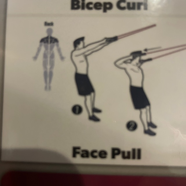 Band Face Pull by Harvey Howell - Exercise How-to - Skimble