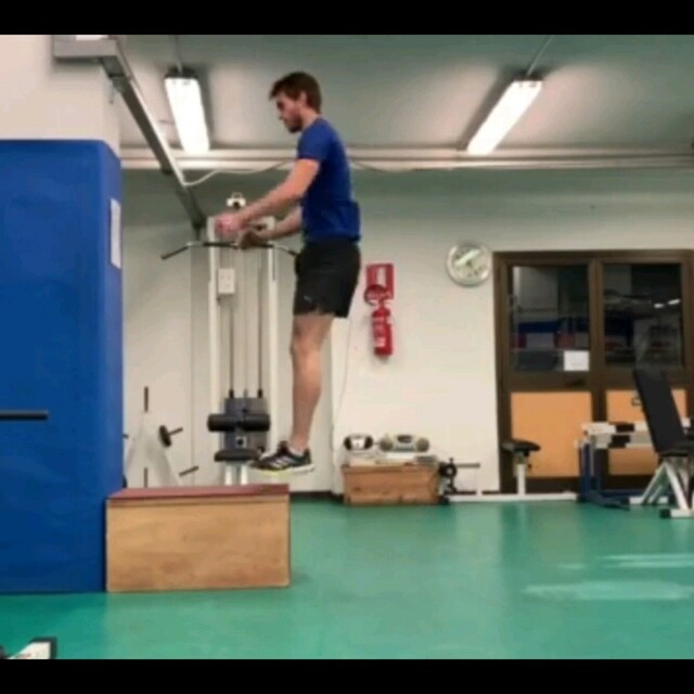 CONTINUOUS BOX JUMP by Timon Jona Martin - Exercise How-to - Skimble