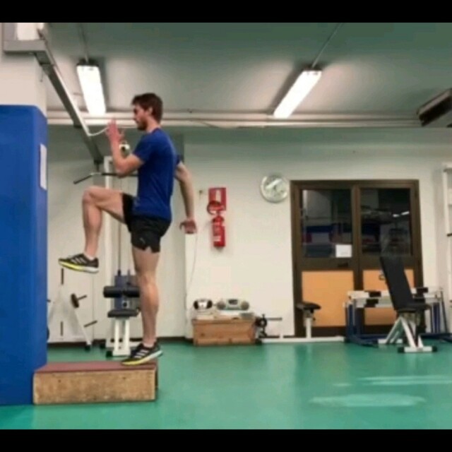 Walking Step Up by Timon Jona Martin - Exercise How-to - Skimble