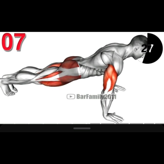 Push Up To Side Plank by Isreal E. - Exercise How-to - Skimble