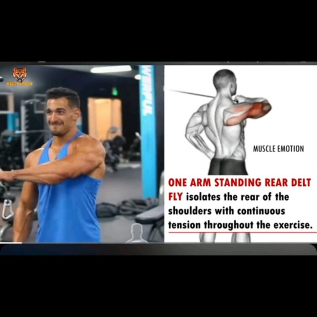 One Arm Rear Delt Fly por Isreal E. - Ejercicio Cómo hacerlo - Skimble
