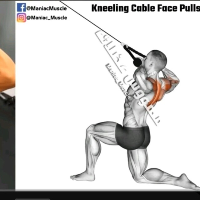 Face Pulls by Isreal E. - Exercise How-to - Skimble
