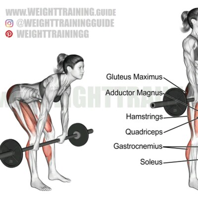 Dead bug by Agnieszka K. - Exercise How-to - Skimble